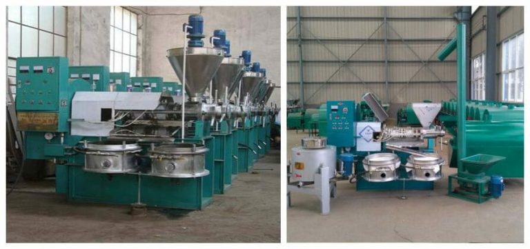 Canola Oil Processing Plant - Edible Oil Expeller Machinery