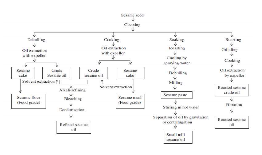 Comparing Different Extraction Methods of Sesame Oil – Oil Pressing ...