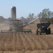 Soybeans for Biodiesel Production - Edible Oil Expeller Machinery